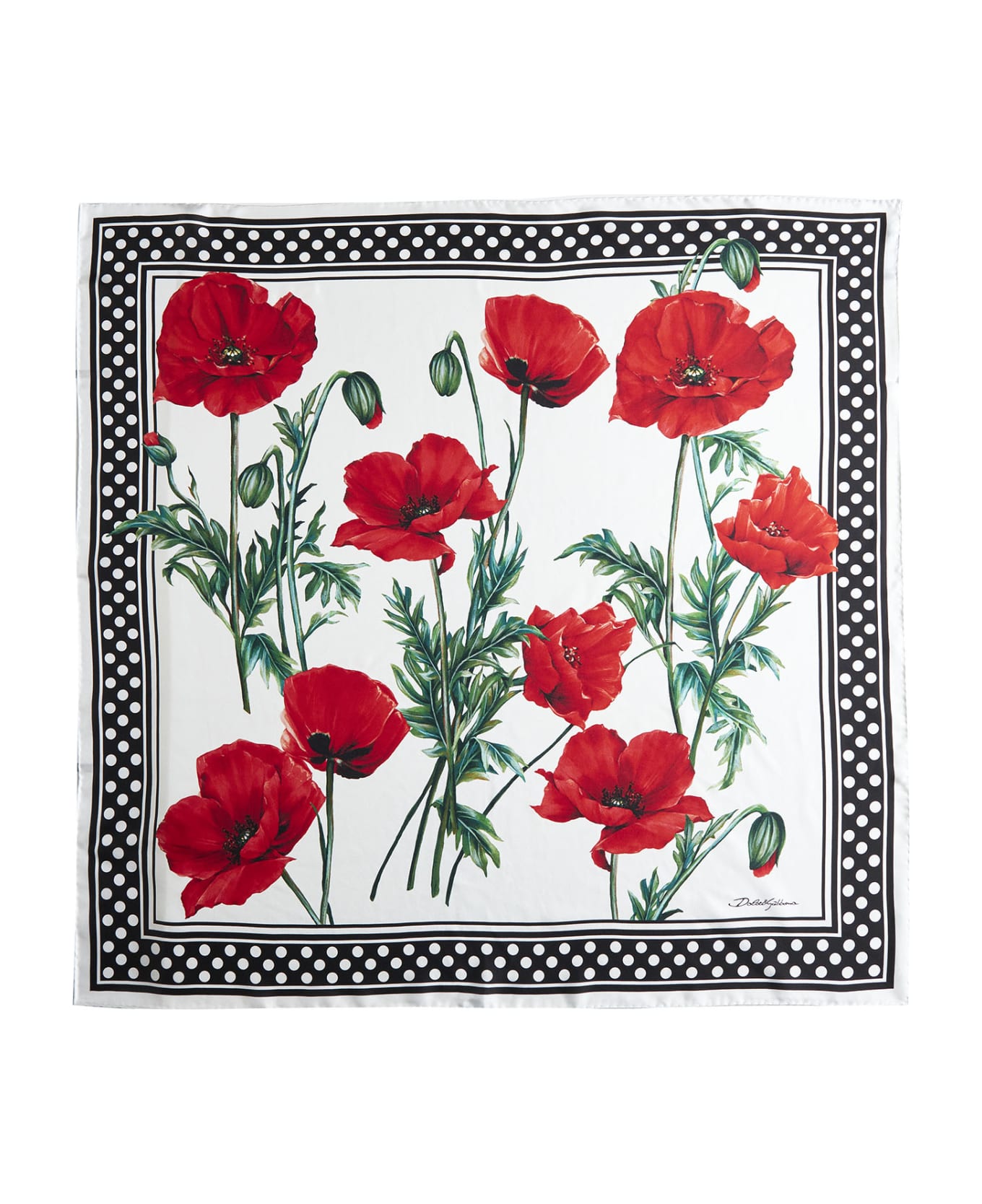 Dolce & Gabbana Scarf | italist