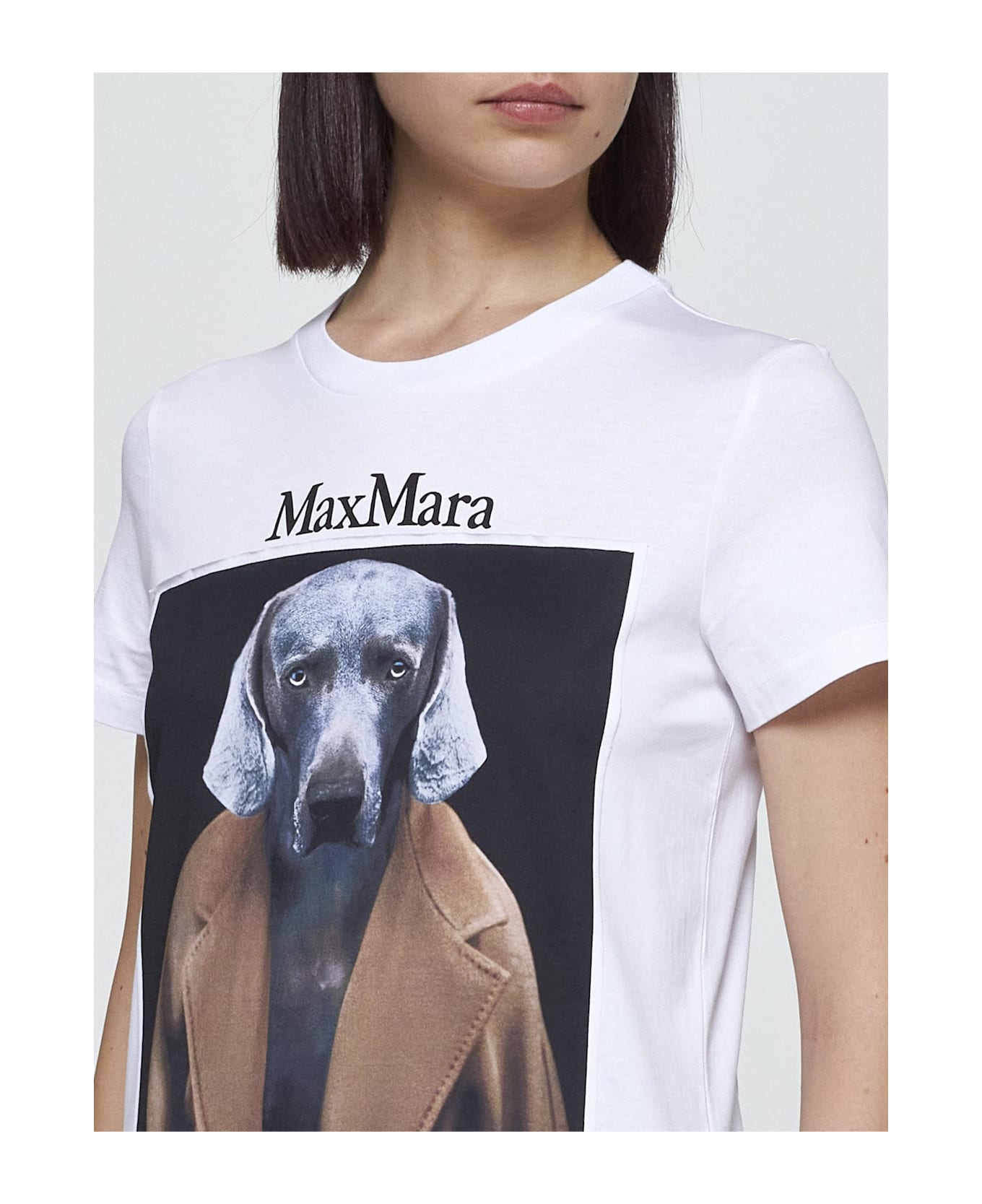 Max Mara Cipria Print Cotton T-shirt | italist