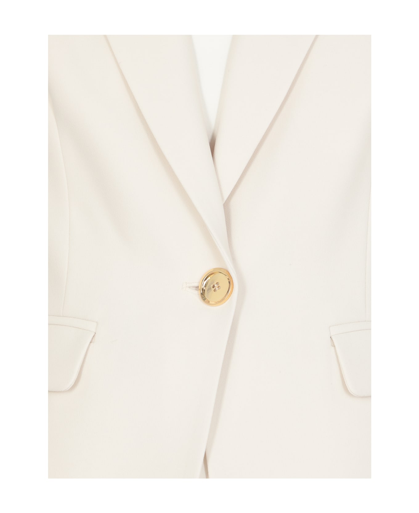 Pinko Humahuaca Blazer Jacket | italist