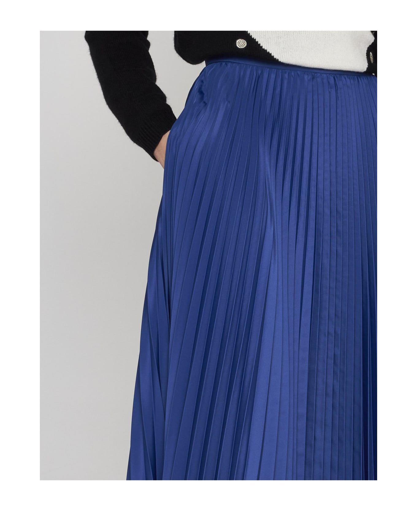 Max Mara Calte Pleated Maxi Skirt | italist